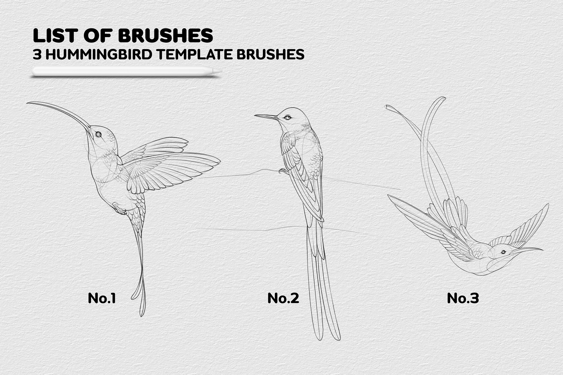 Procreate Hummingbird | 3 Bird Procreate Brushes, Add-ons | GraphicRiver